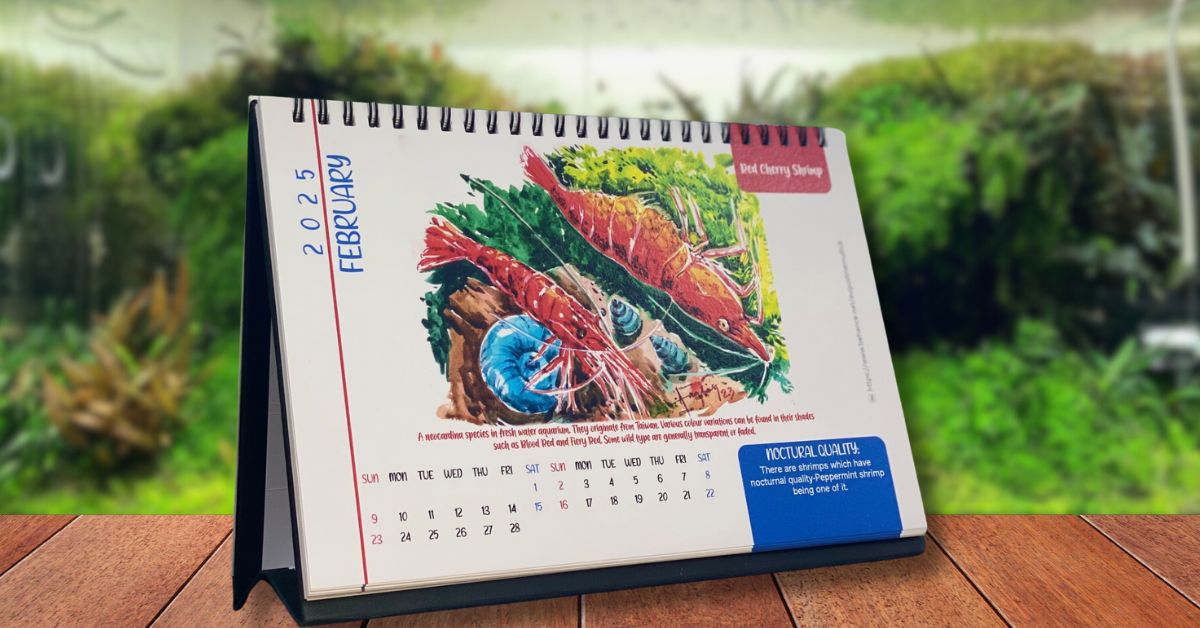 Many Mood of Shrimps (2025 Calendar) – Aquarium Products India