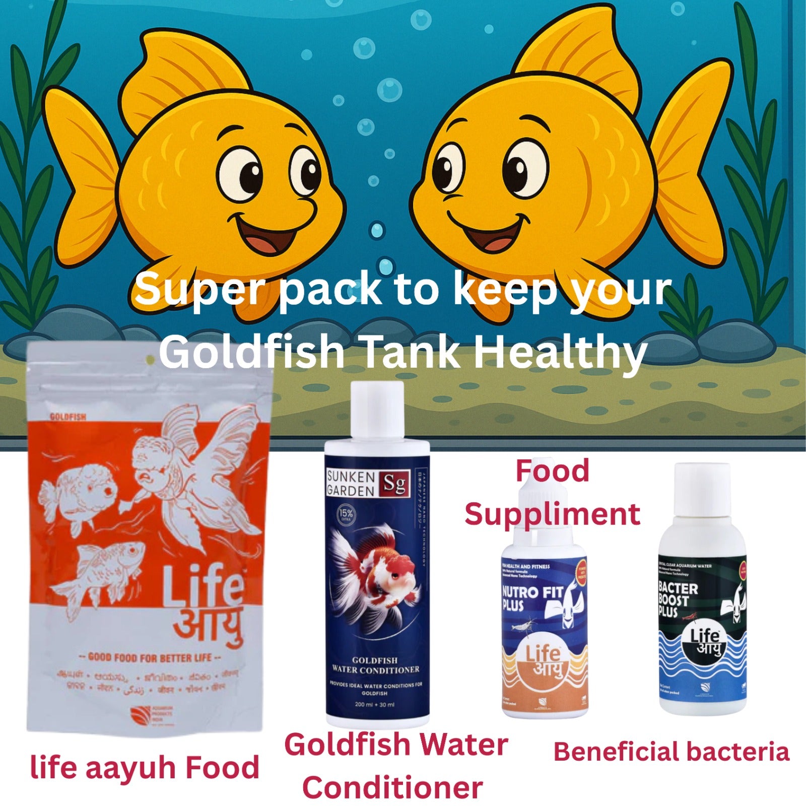 Goldfish Super Pack! – Aquarium Products India